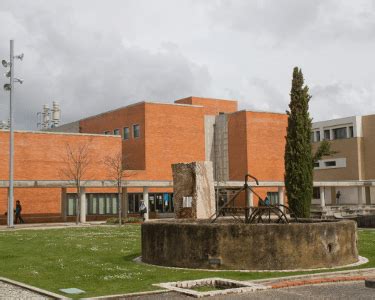 Image result for Icon MAPI