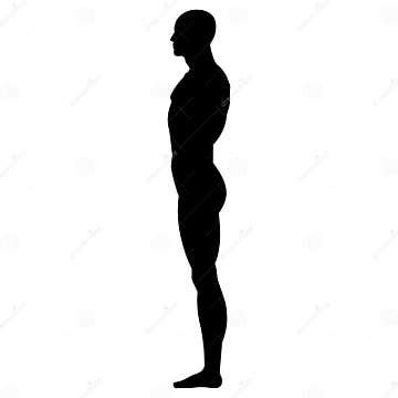 Side View of Human Body Silhouette. Vector Stock Vector - Illustration ...