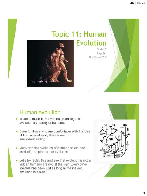 Image result for Human Evolution Grade 12 Life Science