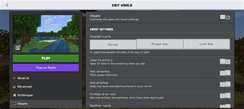 Image result for Customized World Option Minecraft Mod