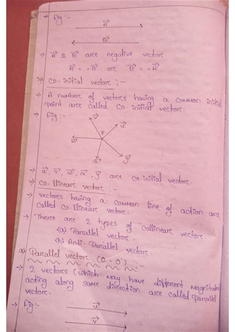 Image result for Vector in Physics Class 11 Examples