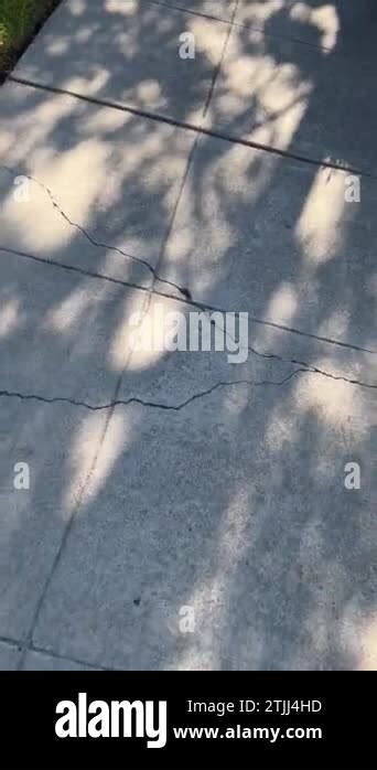 Image result for Overhead Pattern