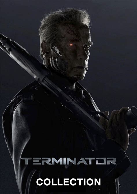 Image result for Terminator Movie Collection