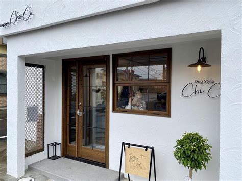 Image result for Signa Backing Frame