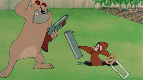 Image result for Garden Gopher