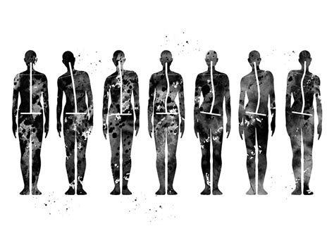 Image result for AVG Back Shape