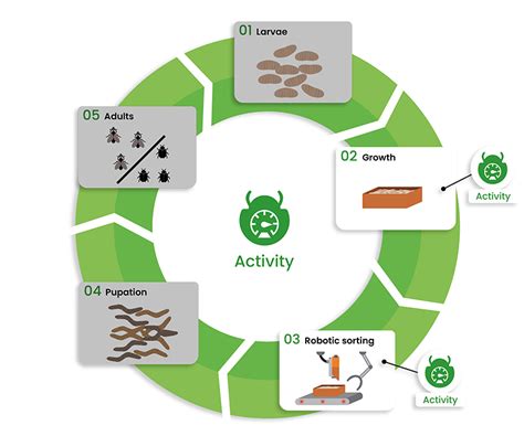 Image result for Insect Production