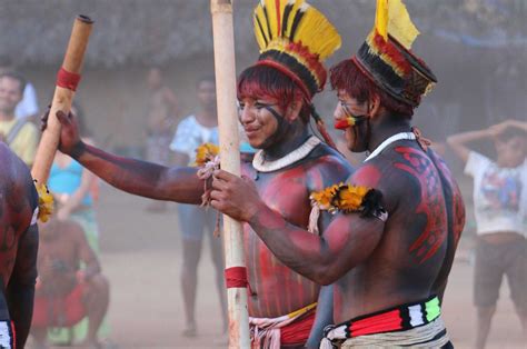 Image result for Amazon Forest Humans