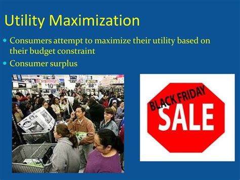 Image result for Utility Maximization Explained