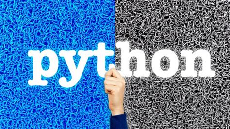 Image result for What Does a Python Do