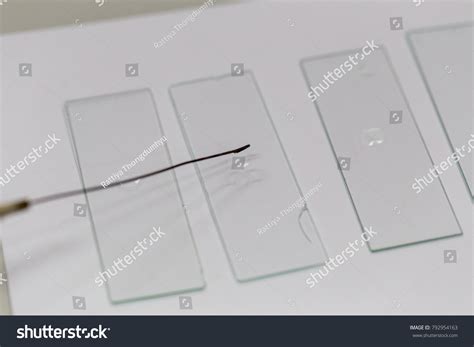 Image result for Smear Speed Tutorials