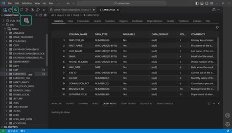 Image result for SQL Developer IDE