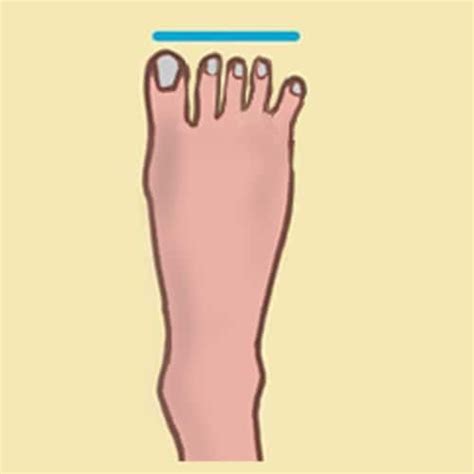 Image result for Different Types of Toes