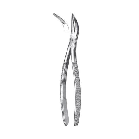 Image result for Tooth Extraction Forcep PHY