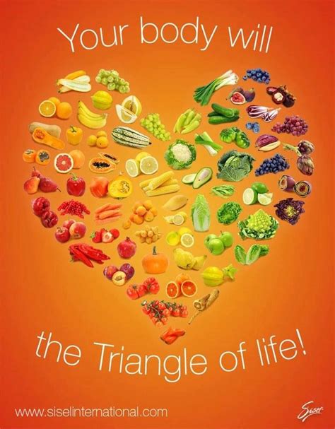 Image result for Sisel Inspiration