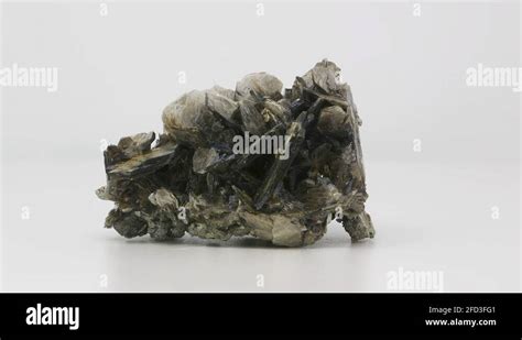 Image result for Back-Formation