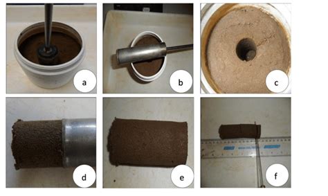 Image result for Pine Tree Core Sampler