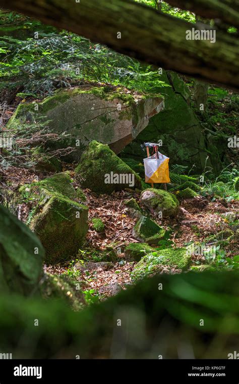 Image result for Manual Control Point Symbol