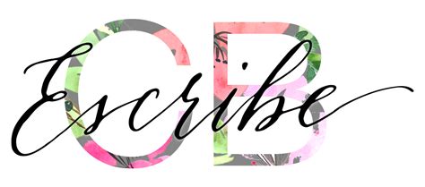 Image result for Using Escribe