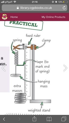 Image result for Extension of Spring Required Practical