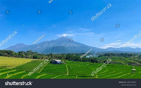 Image result for Java Island Landscape