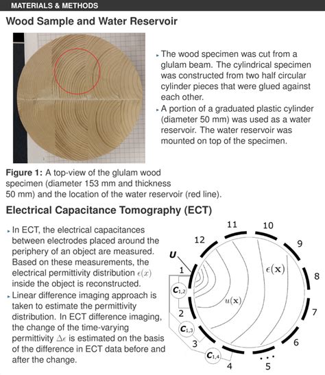 Image result for Collection Ect