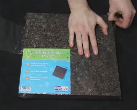 Image result for Bioactive Iguana Setup