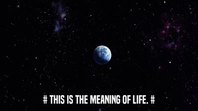 Monty Python | GIFGlobe