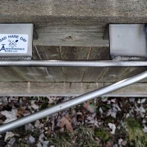 Image result for Hopper Popper Rabbit Dispatch