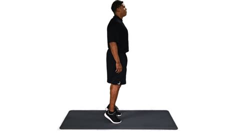 Image result for Toe Lift Exercise