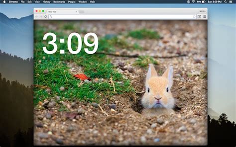 Image result for Newtab App iOS