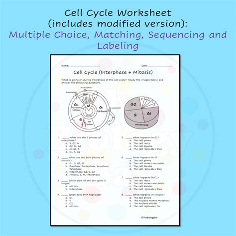 Image result for Cell Cycle Worksheet Answer Key