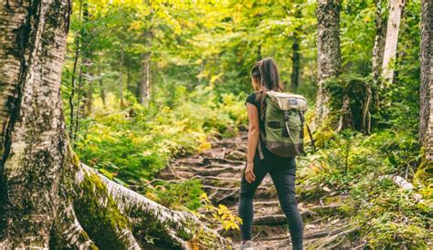 Image result for Measuring Torso for Backpack