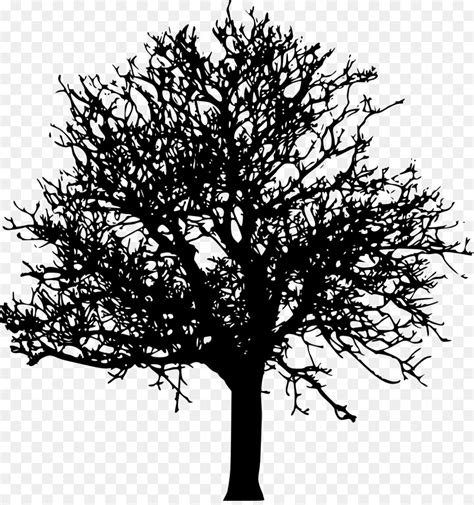 Tree Silhouette - tree vector png download - 2280*1677 - Free ...