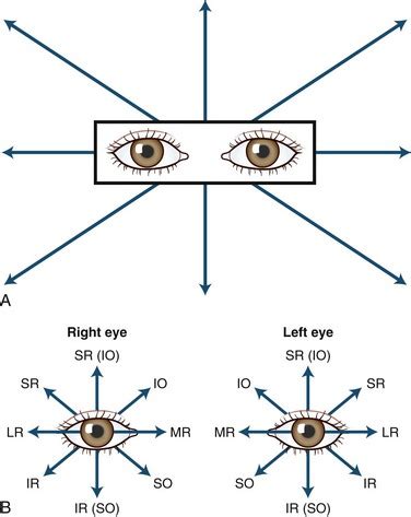 Image result for Eye Movements Test