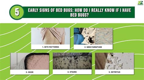 5 Early Signs Of Bed Bugs: How Do I Really Know If I Have Bed Bugs? - A ...