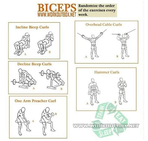 Image result for Bisect Workouts