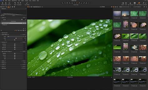 Image result for Capture One Probleme Development