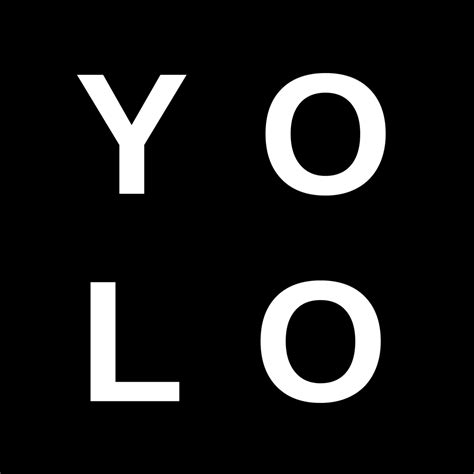 Image result for Yolo Python Logo