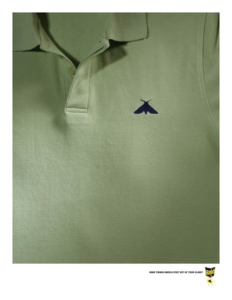 Image result for Raid Moth