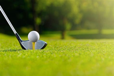 Image result for Miniature Golf Course Designs