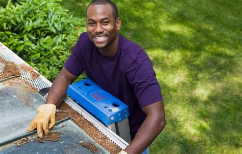 Image result for Pest Control Tips