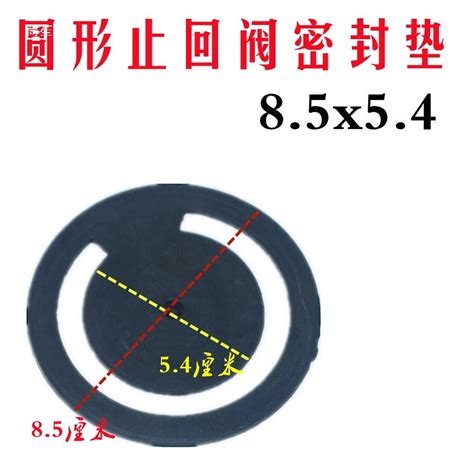 Image result for Pitcher Pump Check Valve