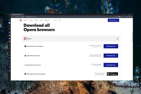 Image result for Opera Setup File
