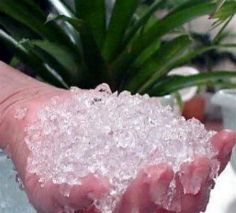 Image result for Super Absorbent Polymer Powder