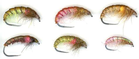 Image result for Polish Nymph Patterns