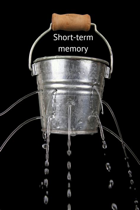 Image result for Short Memory