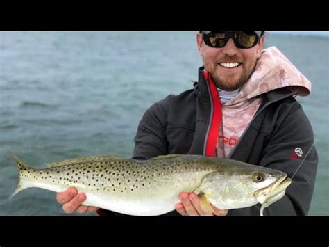 Image result for Fly Cast Tailing Loop