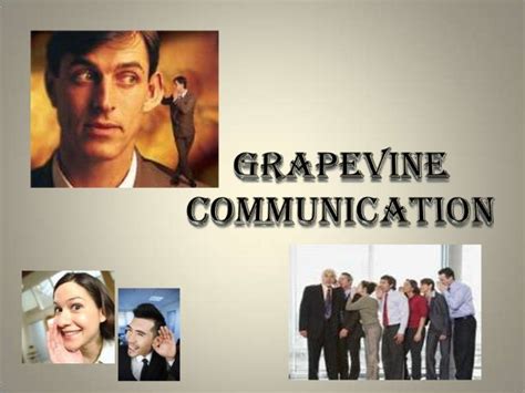 Image result for Grapevine Communication