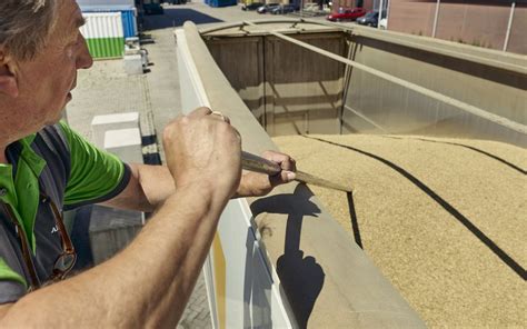 Image result for Sampling Feed